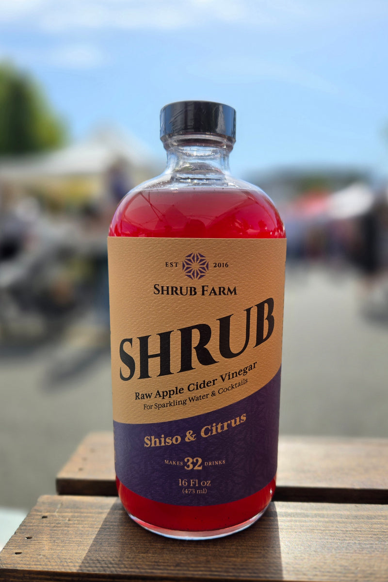 Shiso & Citrus Shrub | Apple Cider Vinegar for Healthy Drinks and More ...