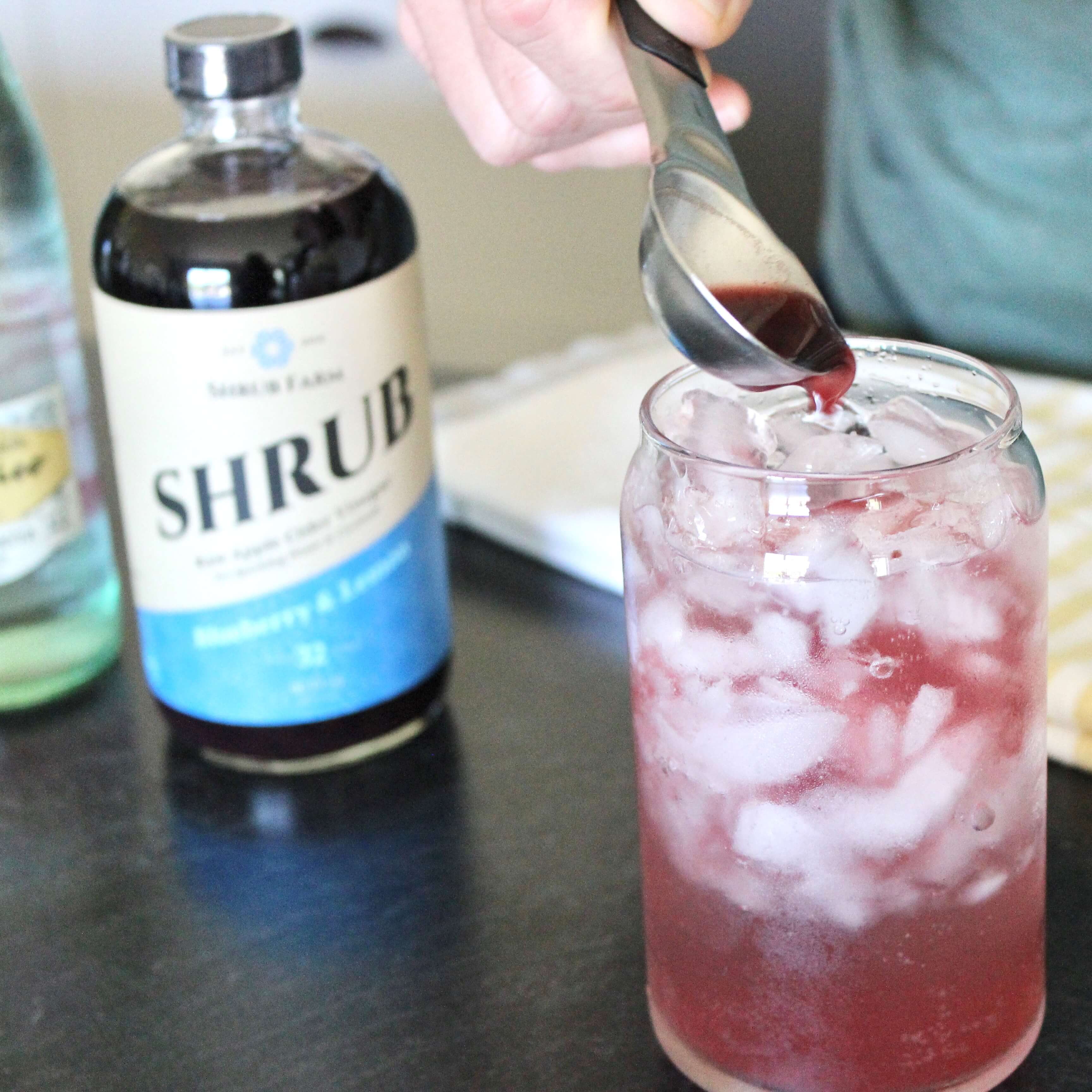 Blueberry & Lemon Shrub | Apple Cider Vinegar for Healthy Drinks and ...